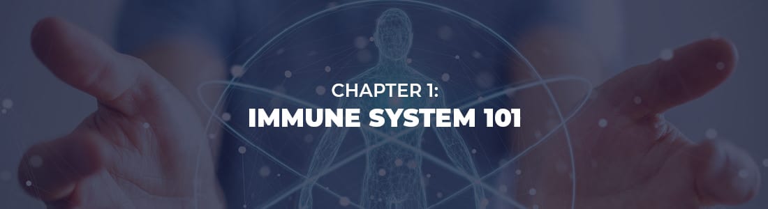 How To Boost Your Immune System: The Ultimate Guide
